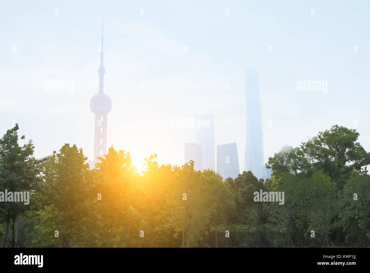 Shanghai forest hi-res stock photography and images - Alamy