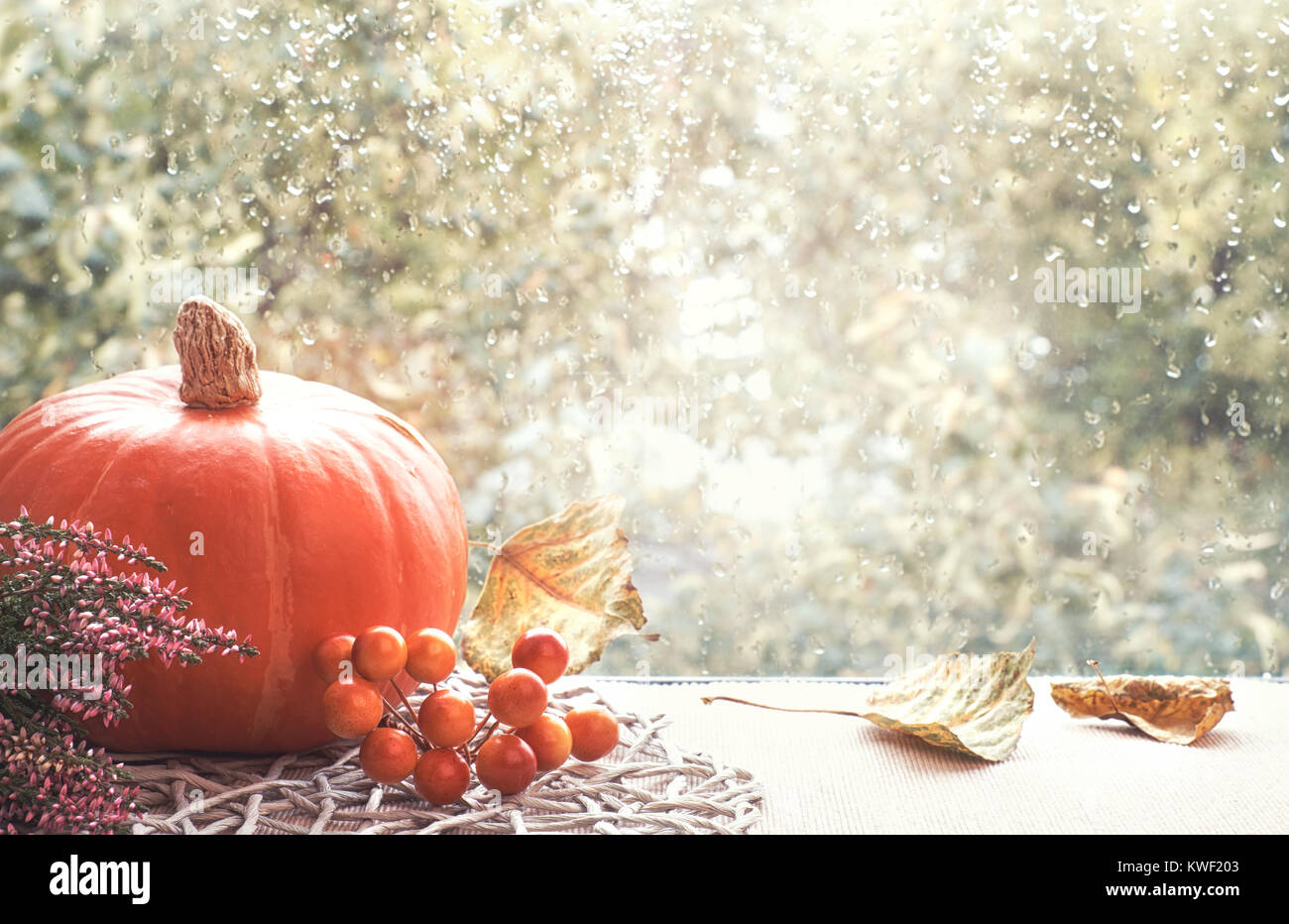 Autumn still life with pumpkins and dry leaves on a window board on a ...