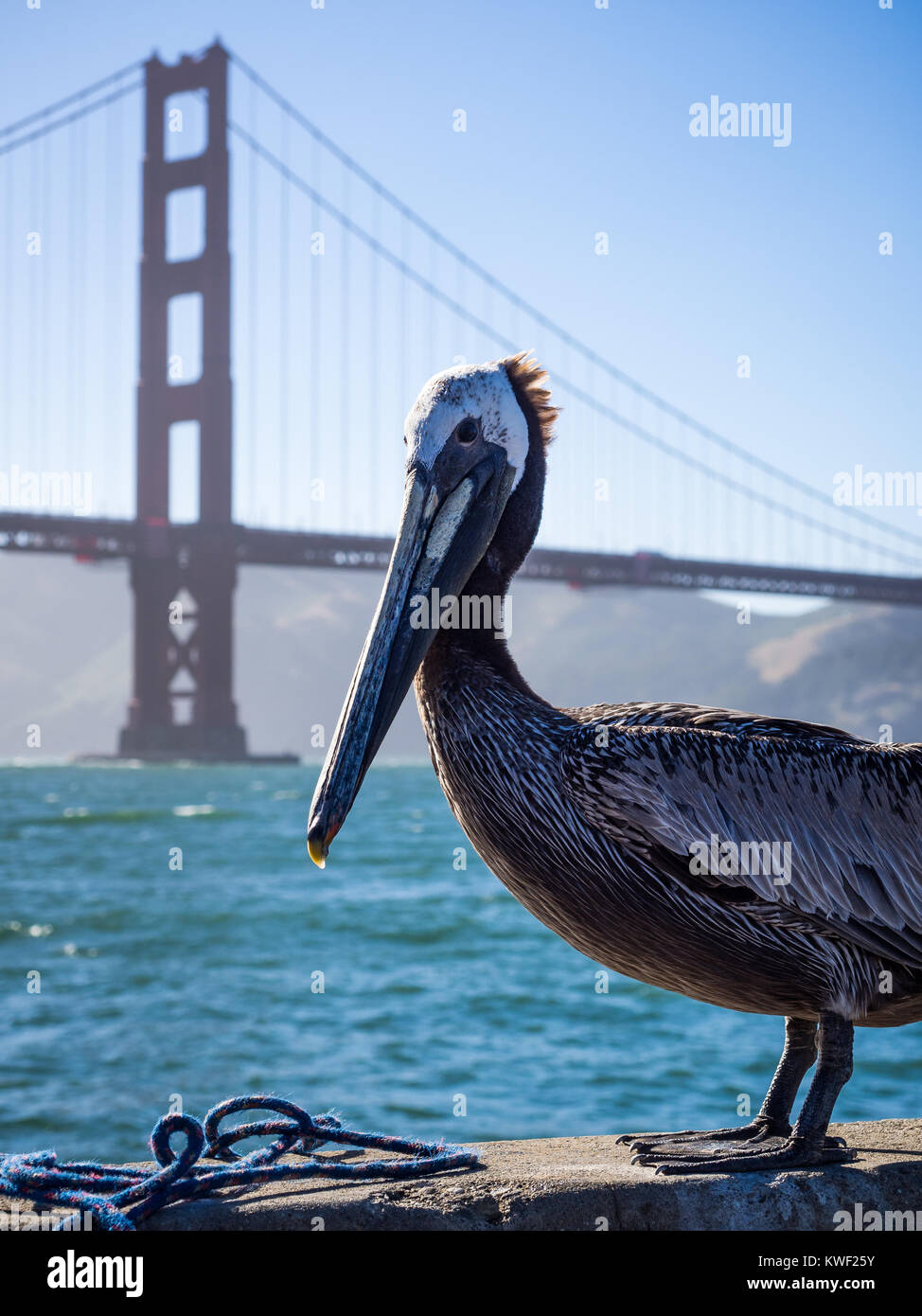 Defending Structure High Resolution Stock Photography and Images - Alamy
