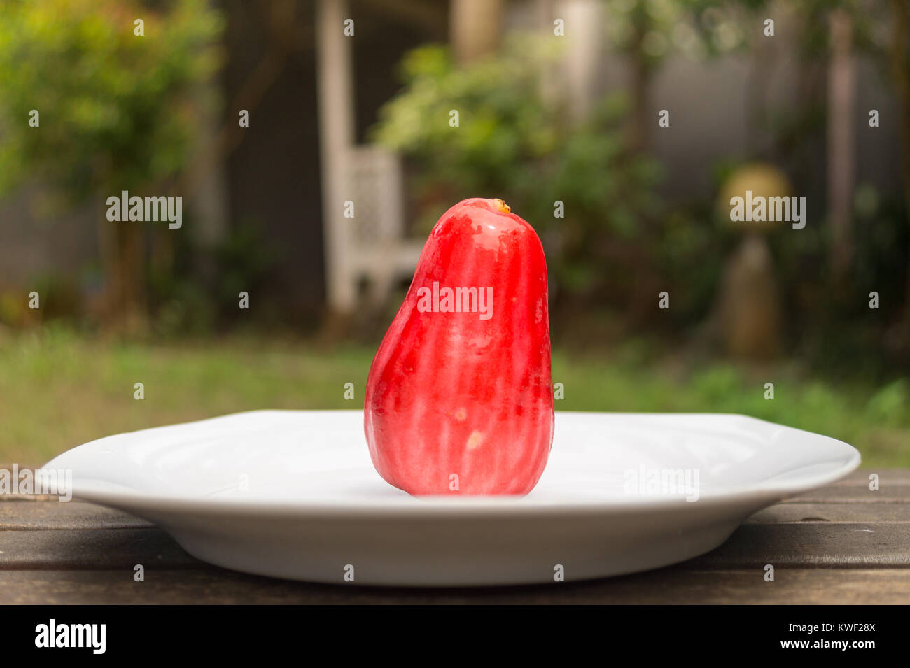 Jambu tree hi-res stock photography and images - Alamy