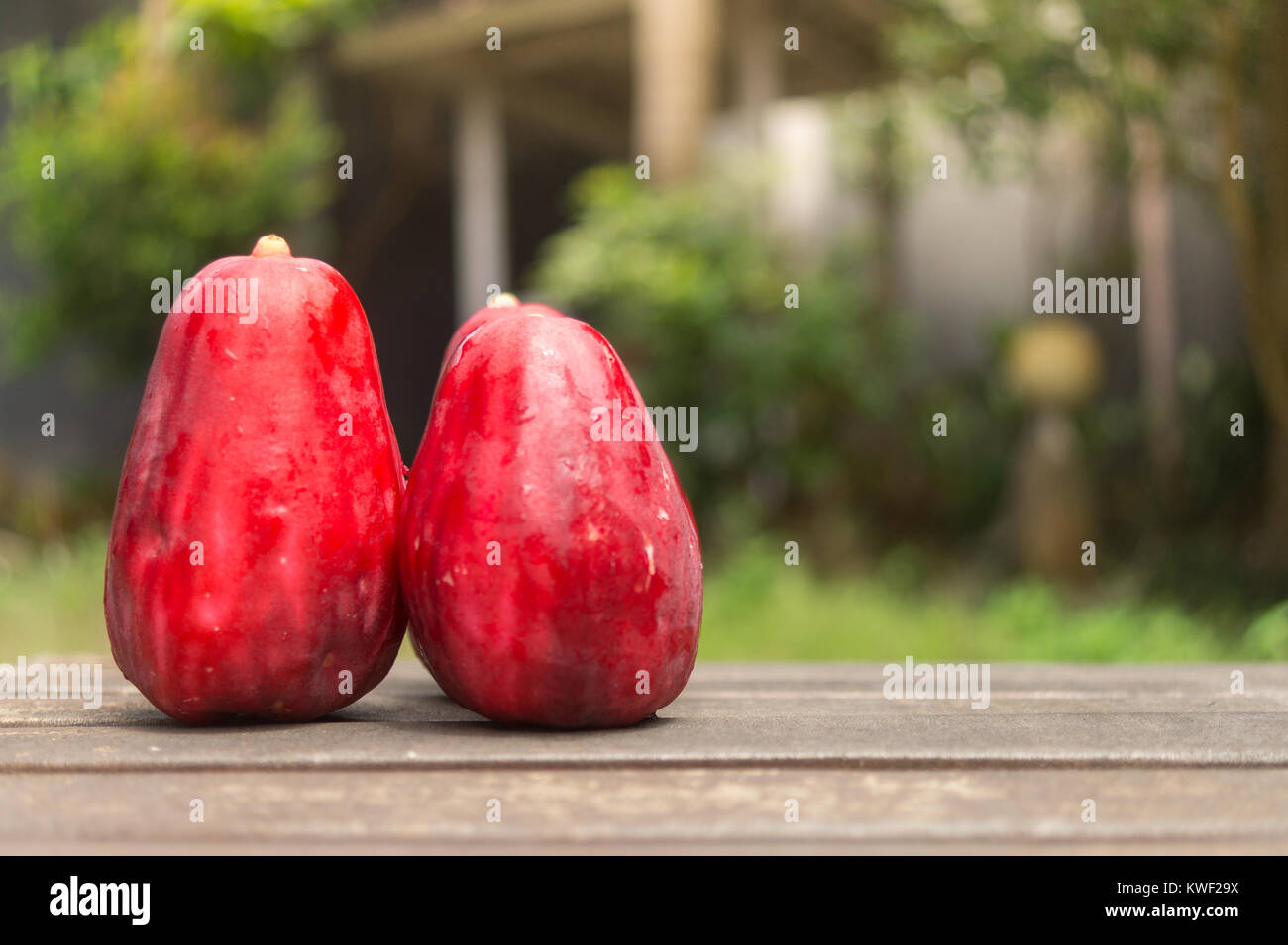 Jambu air hi-res stock photography and images - Alamy