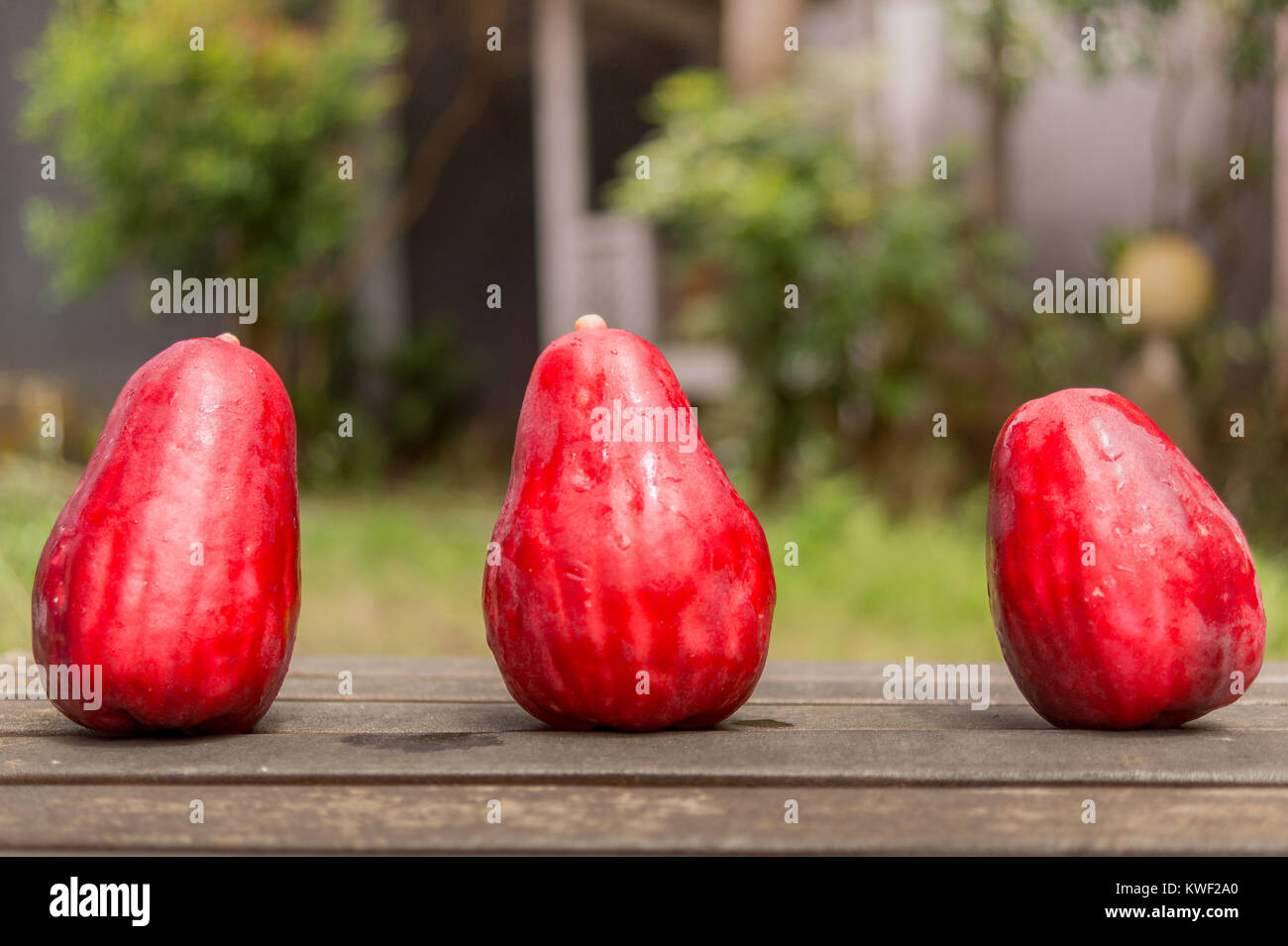 Jambu air hi-res stock photography and images - Alamy