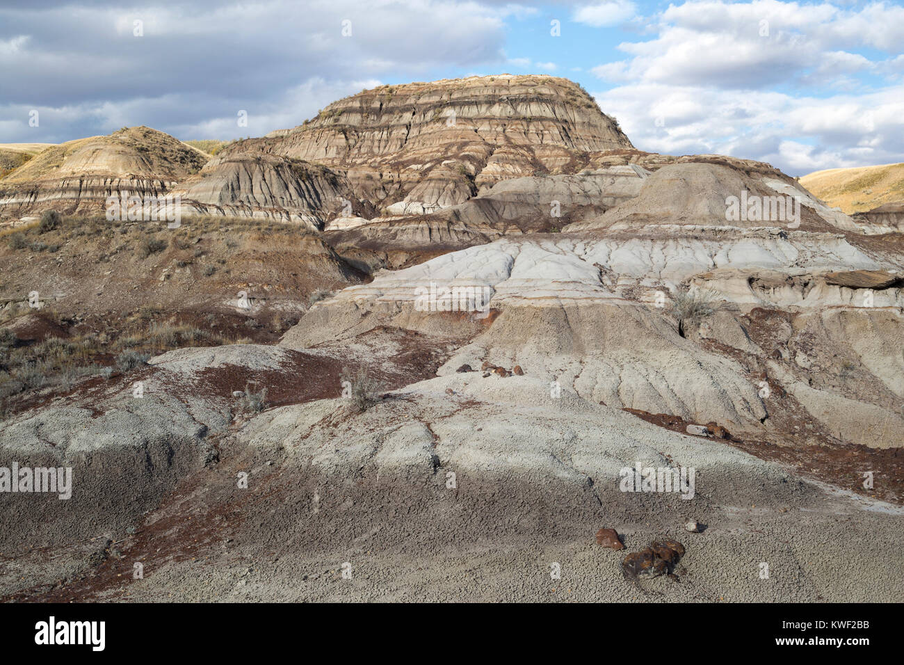 Eroded slopes in Alberta badlands Stock Photo - Alamy