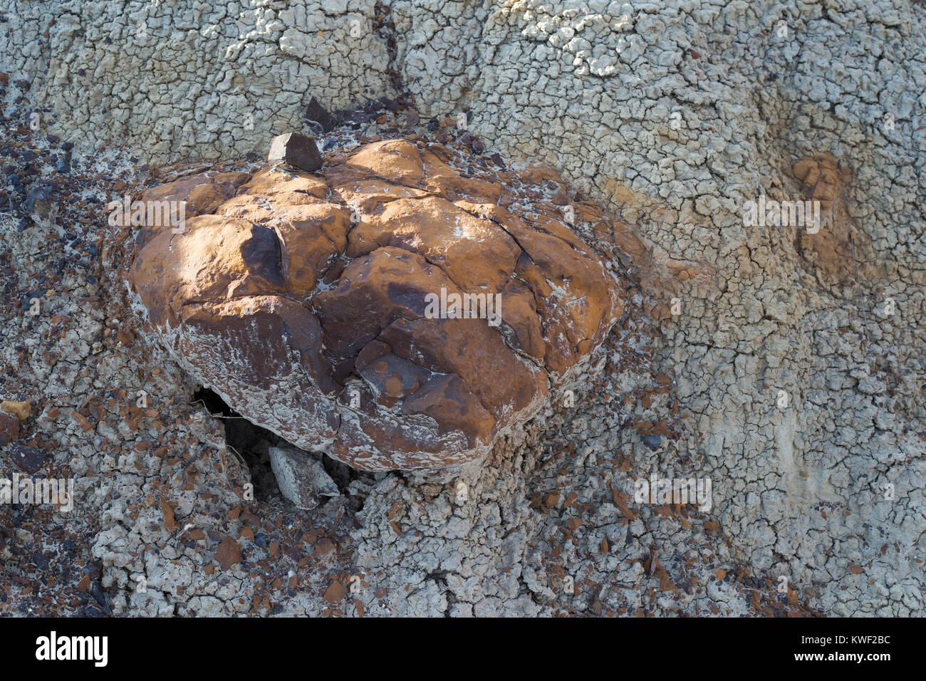 Concretion Rock