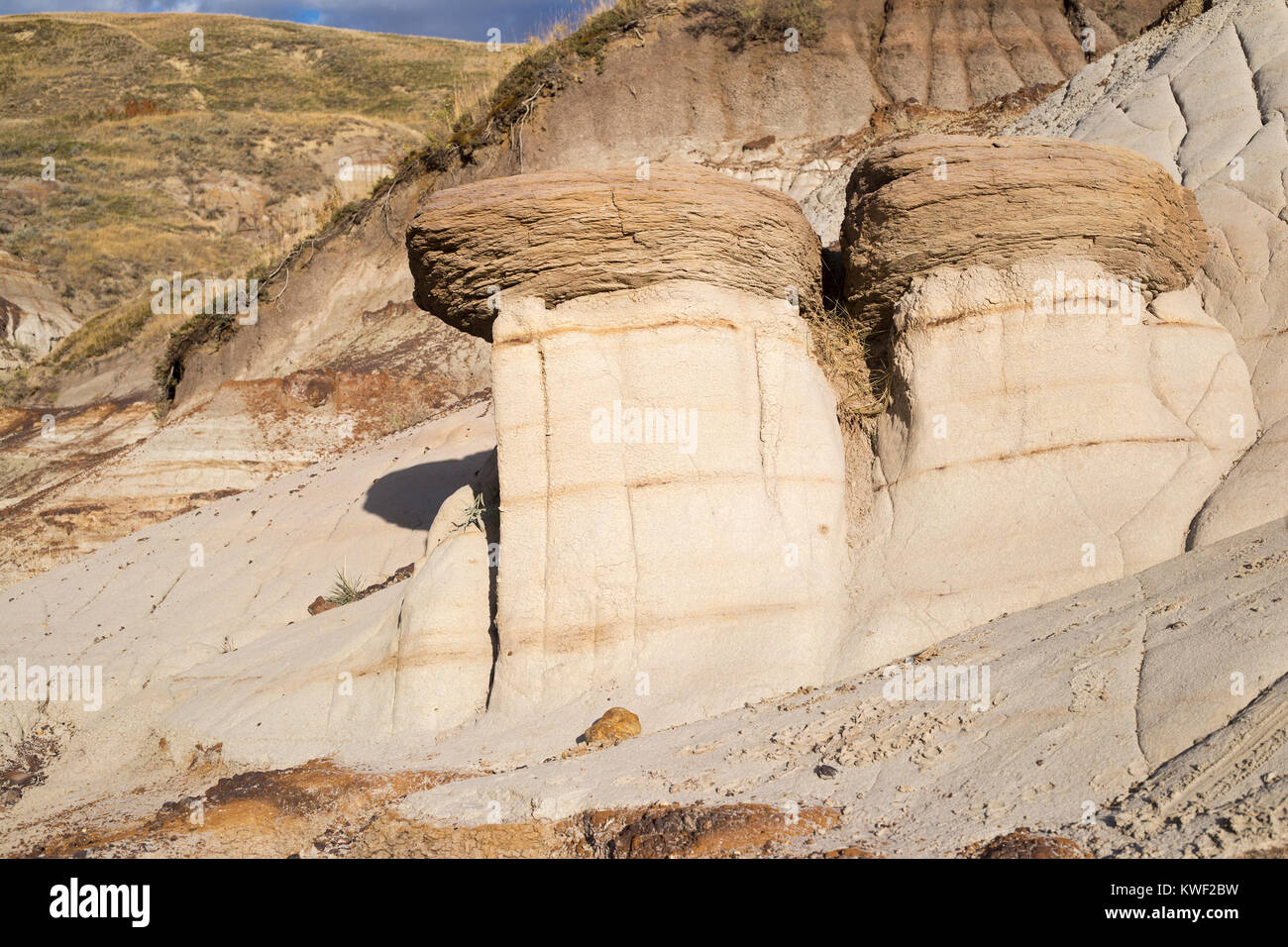 Prehistoric stratigraphy hi-res stock photography and images - Alamy