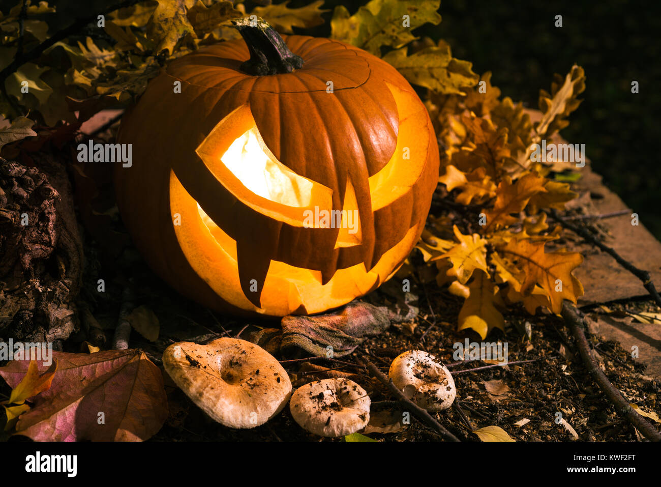 Halloween pumpkin outdoors with oak leaves and mushrooms Stock Photo ...
