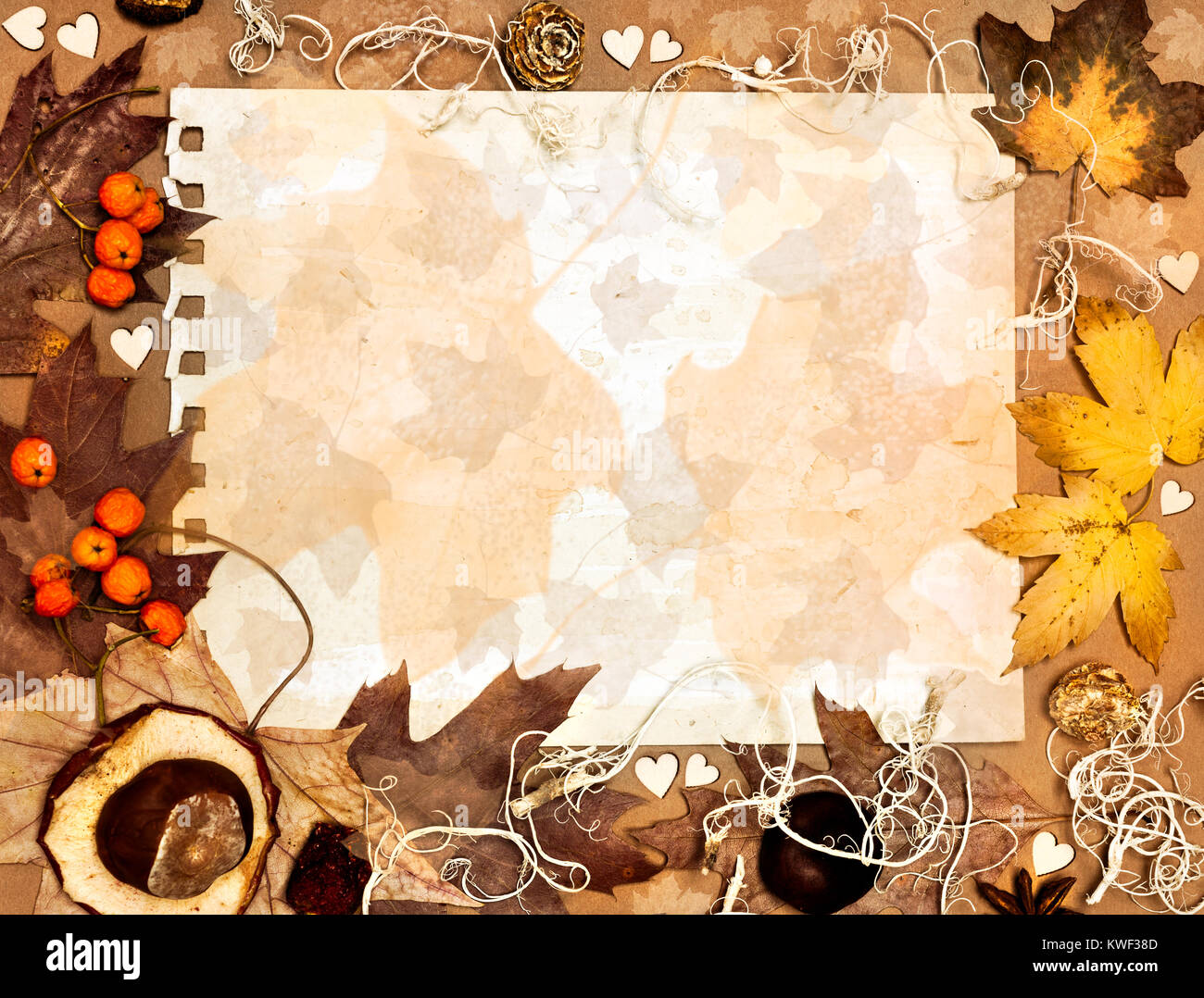 Autumn leaves on textured paper background, space Stock Photo - Alamy