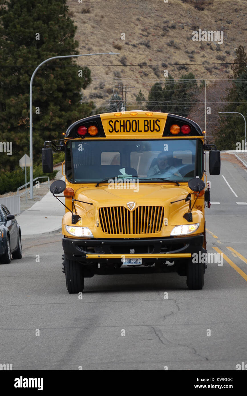 A school bus Stock Photo - Alamy