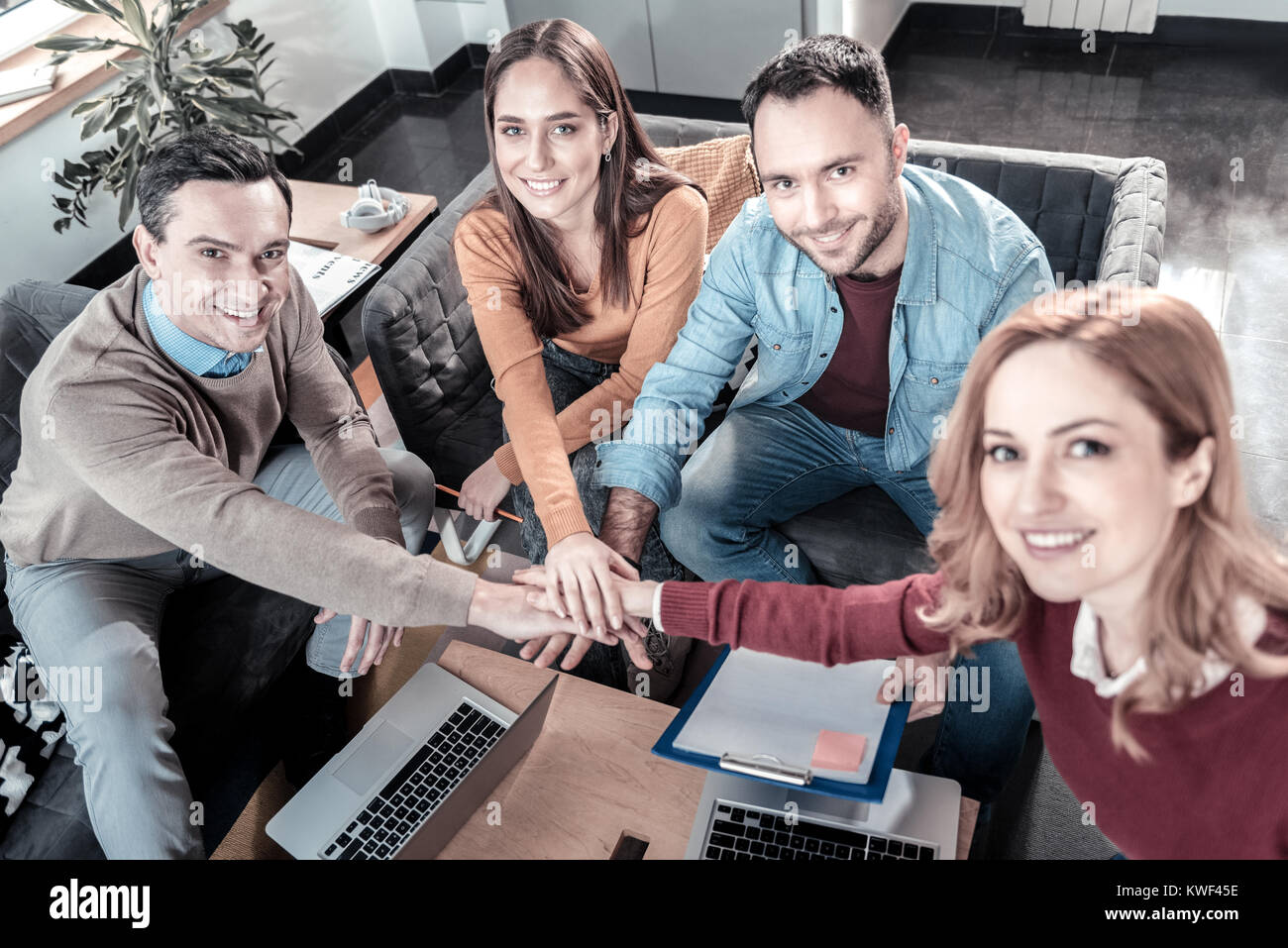 Great team. Joyful satisfied pleasant employees sitting in the office ...