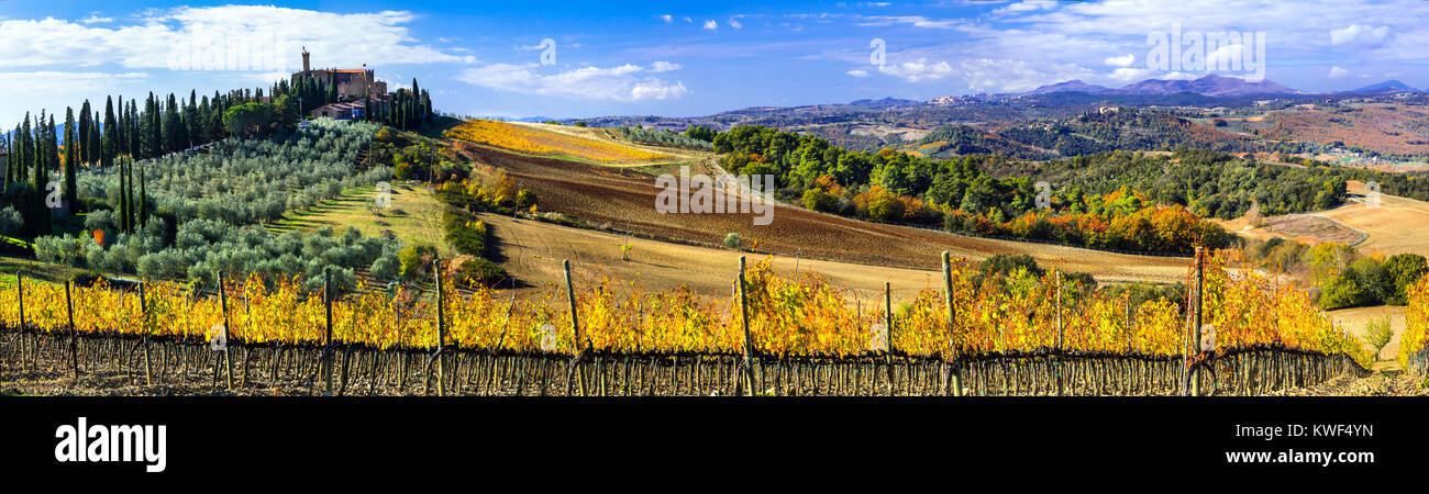Impressive Banfi castle,view with vineyards,Tuscany,Italy Stock Photo ...