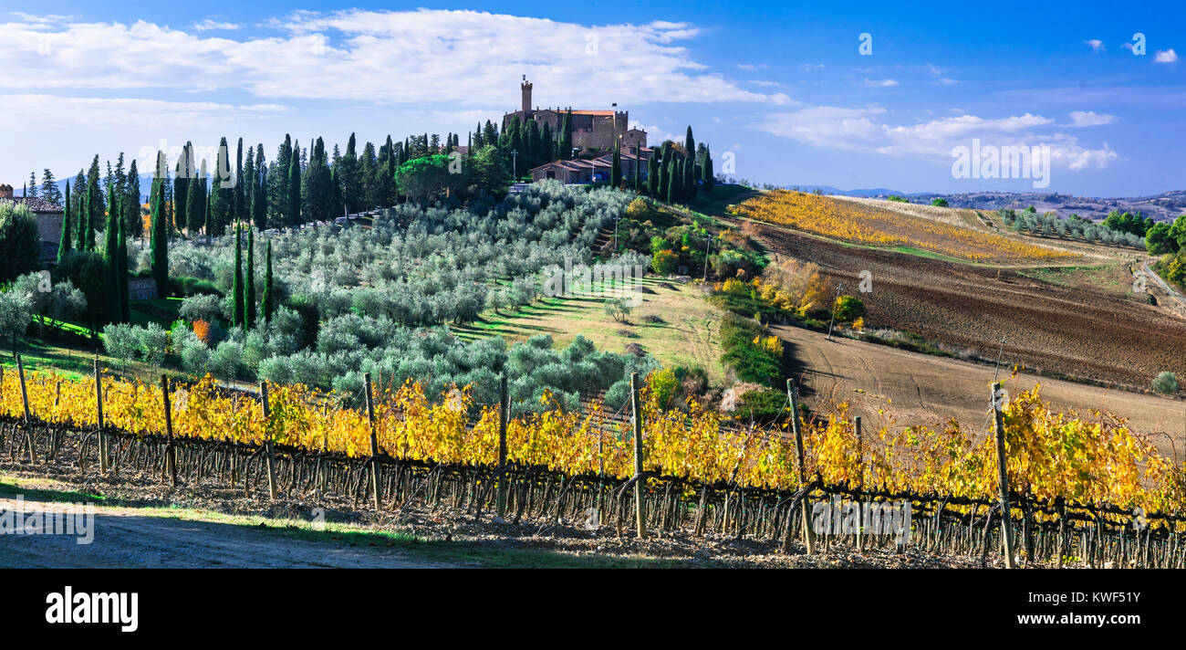 Impressive Banfi castle,view with vineyards and cypresses,Tuscany,Italy ...