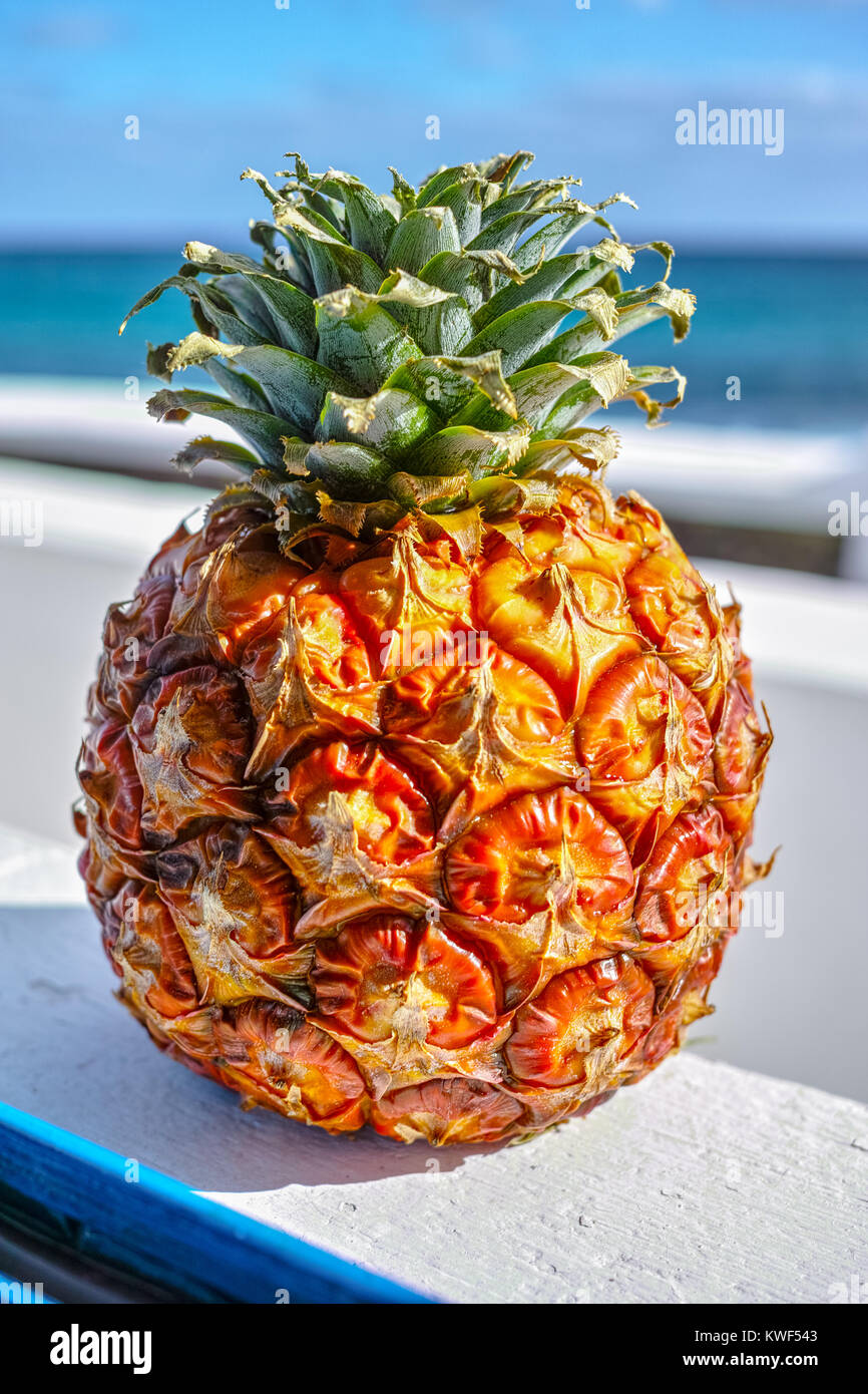 Victoria pineapple hi-res stock photography and images - Alamy