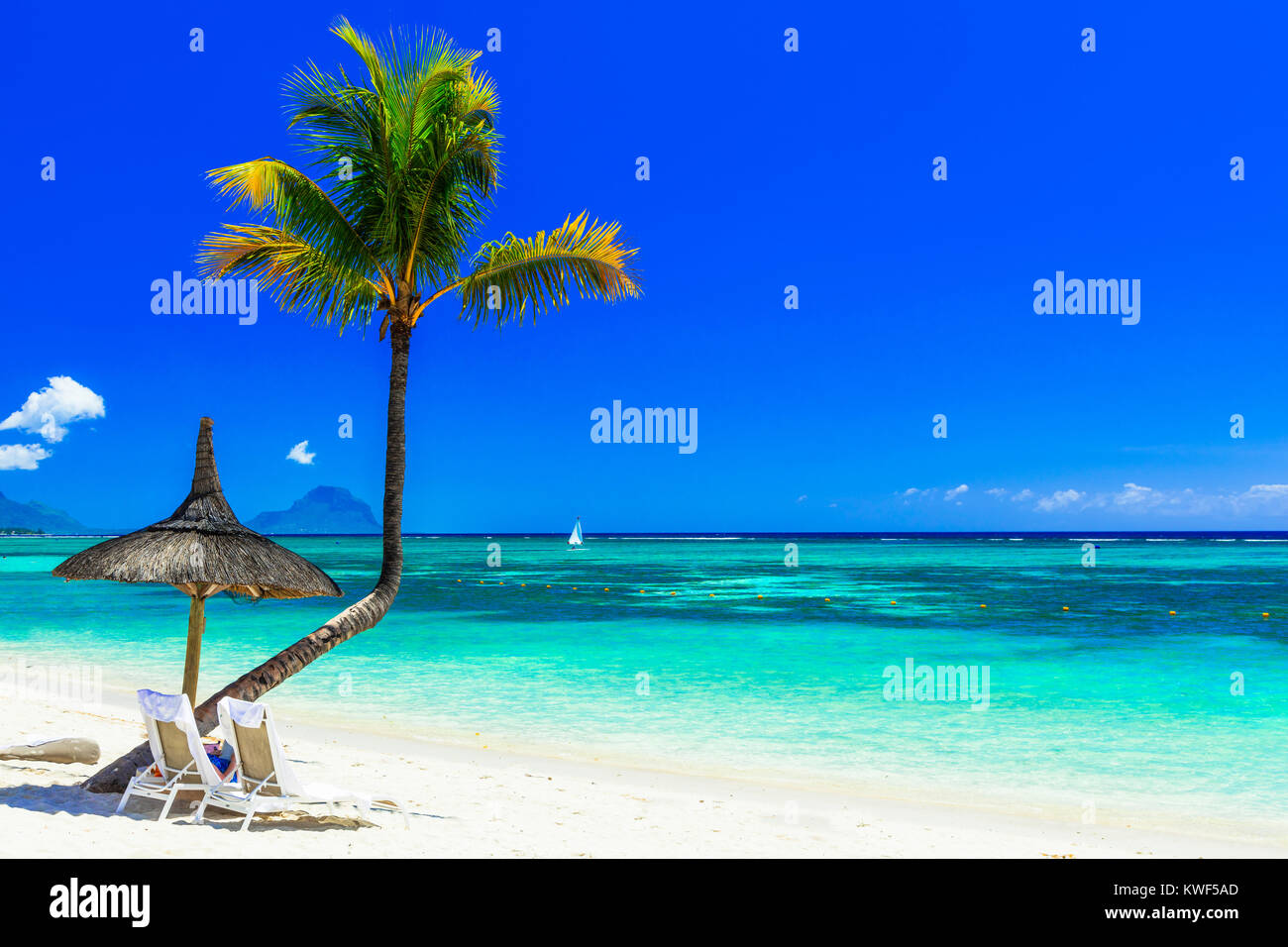 Beautiful beach of Mauritius island,tropical paradise Stock Photo - Alamy