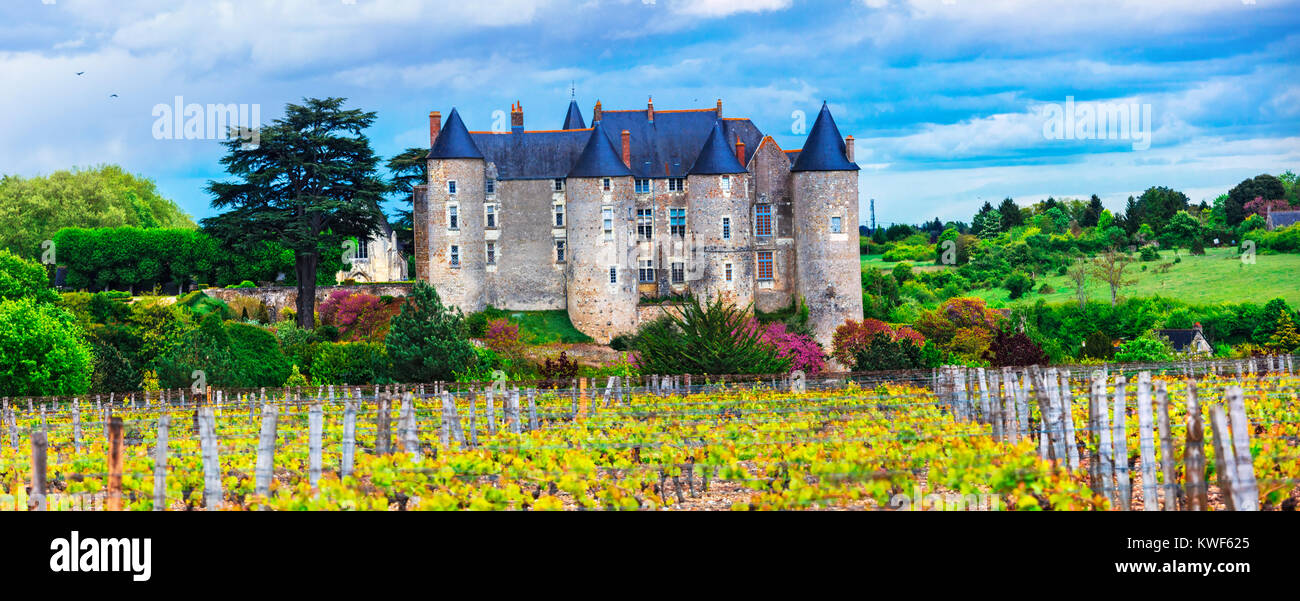 Impressive old castel of France,panoramic view Stock Photo - Alamy