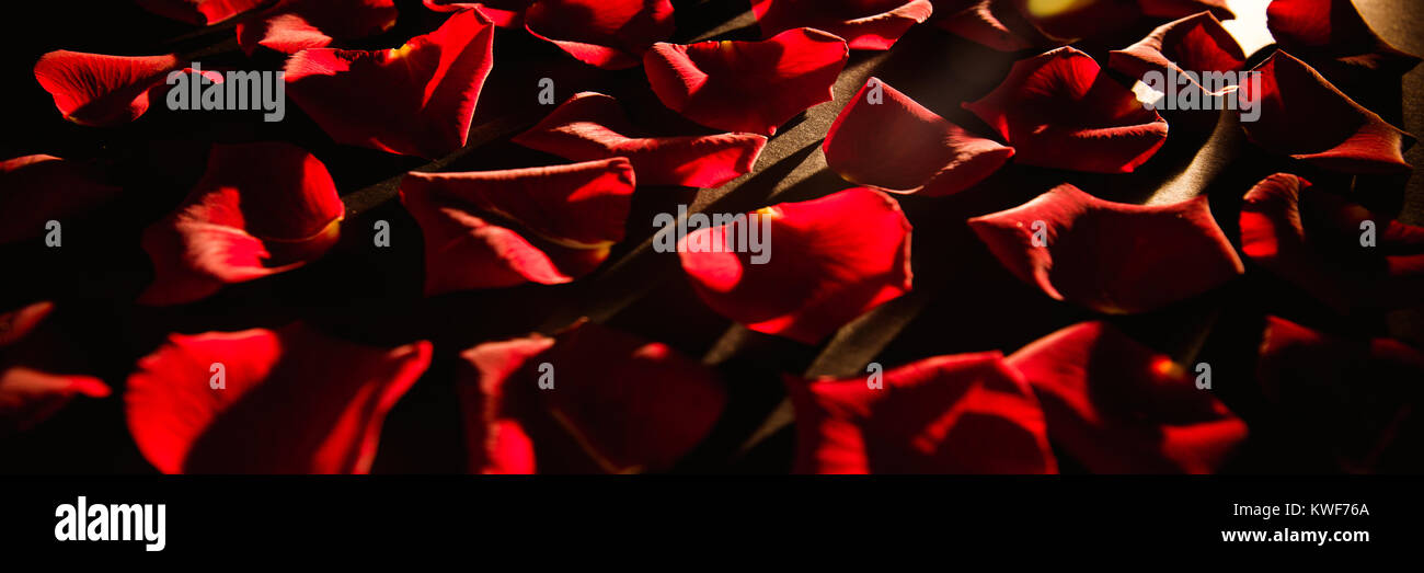Scattered red rose petals Stock Photo - Alamy