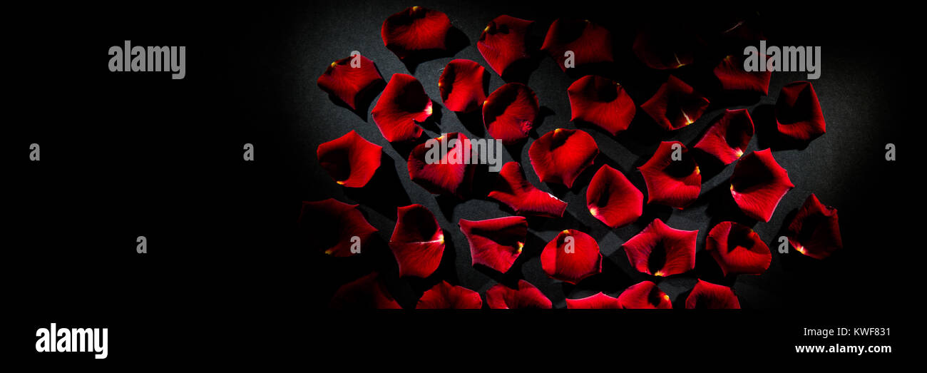 Scattered red rose petals Stock Photo - Alamy