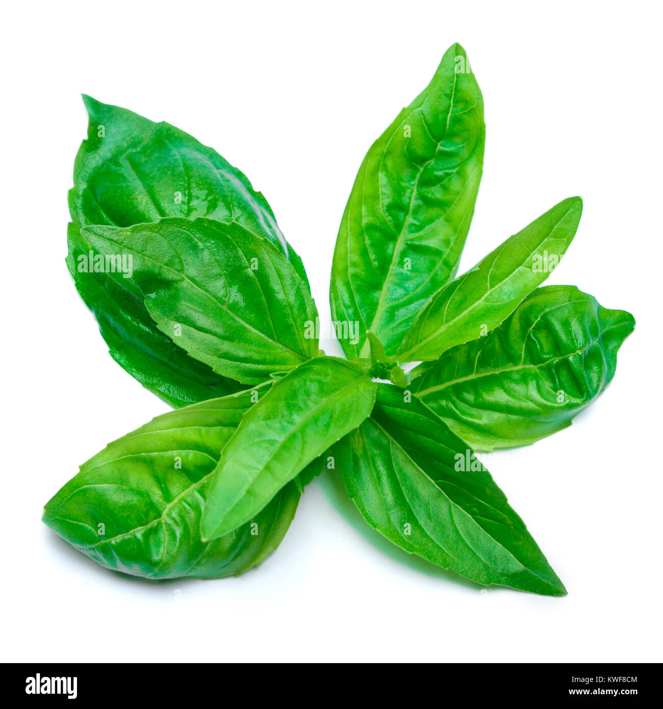 Closeup shot ripe green Cut Out Stock Images & Pictures - Alamy