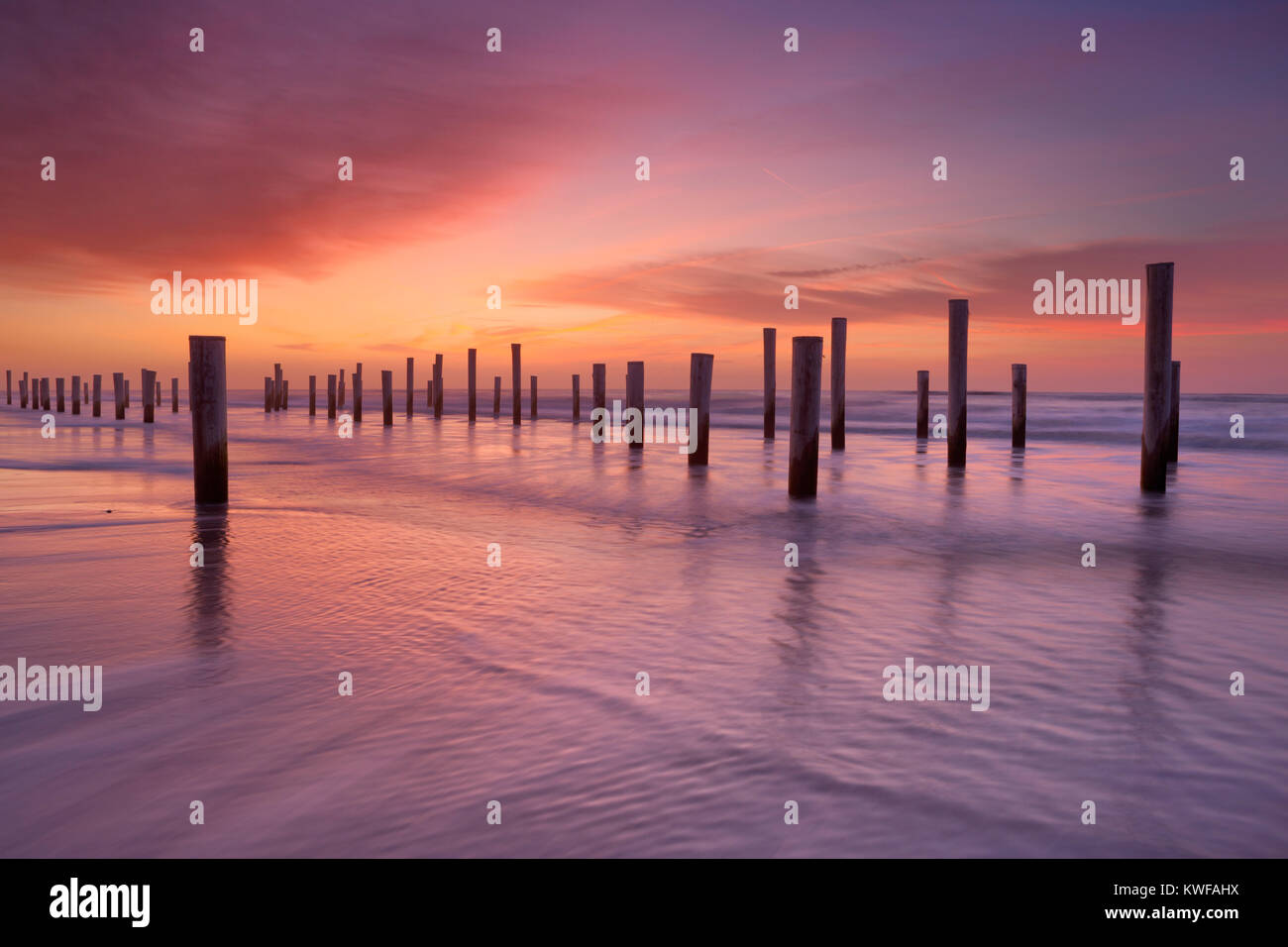 Wooden poles standing in the surf on the beach. Photographed at sunset ...