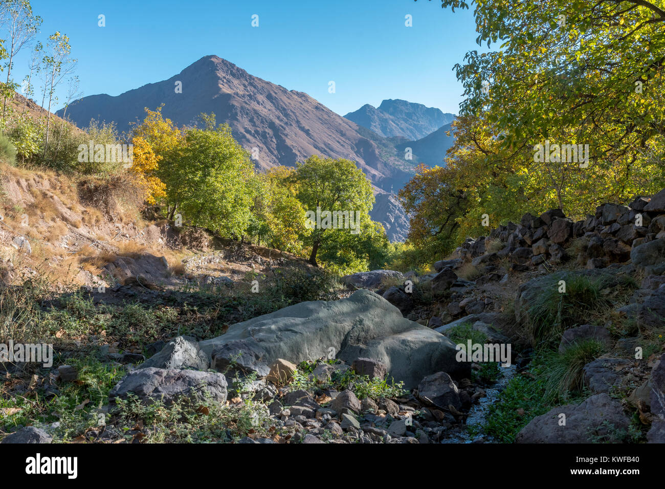Walnut grove hi-res stock photography and images - Alamy