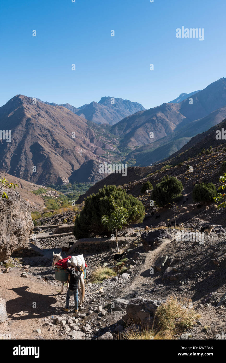 Mule Mountains Stock Photos & Mule Mountains Stock Images - Alamy