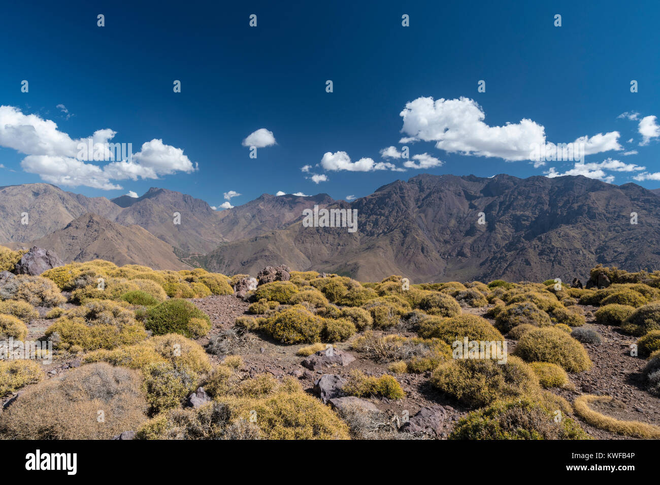 High mountain environment hi-res stock photography and images - Alamy