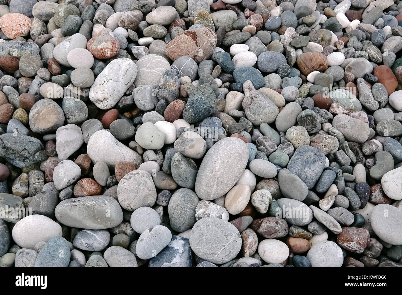 The variety of color and size of the sea pebbles on the Mediterranean ...