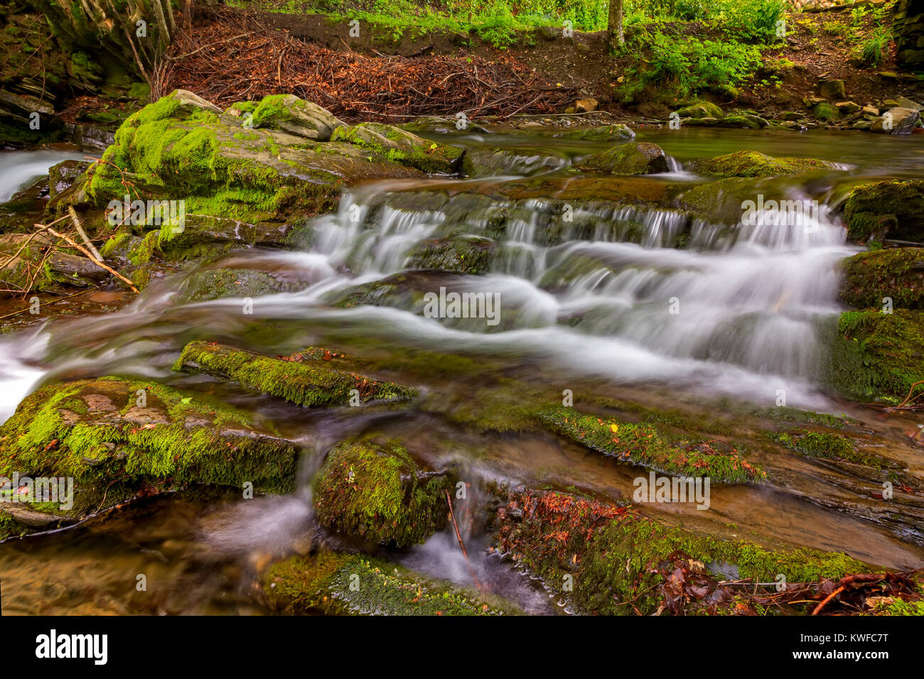 beautiful small river waterfall stairs in the forest Stock Photo - Alamy