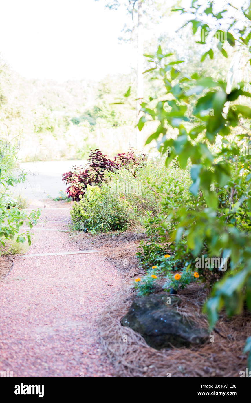 Life pathway hi-res stock photography and images - Alamy