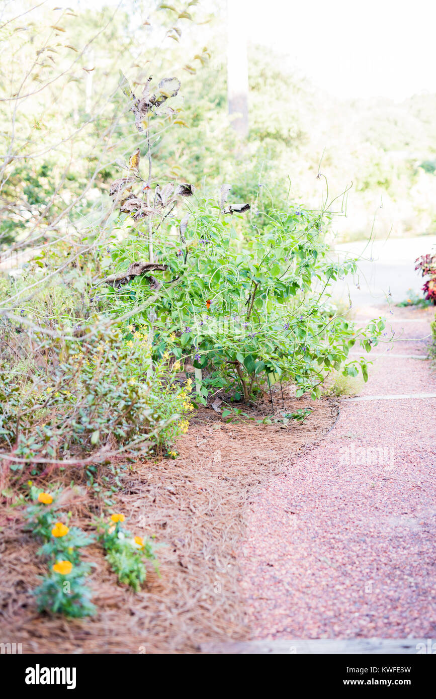 Life pathway hi-res stock photography and images - Alamy