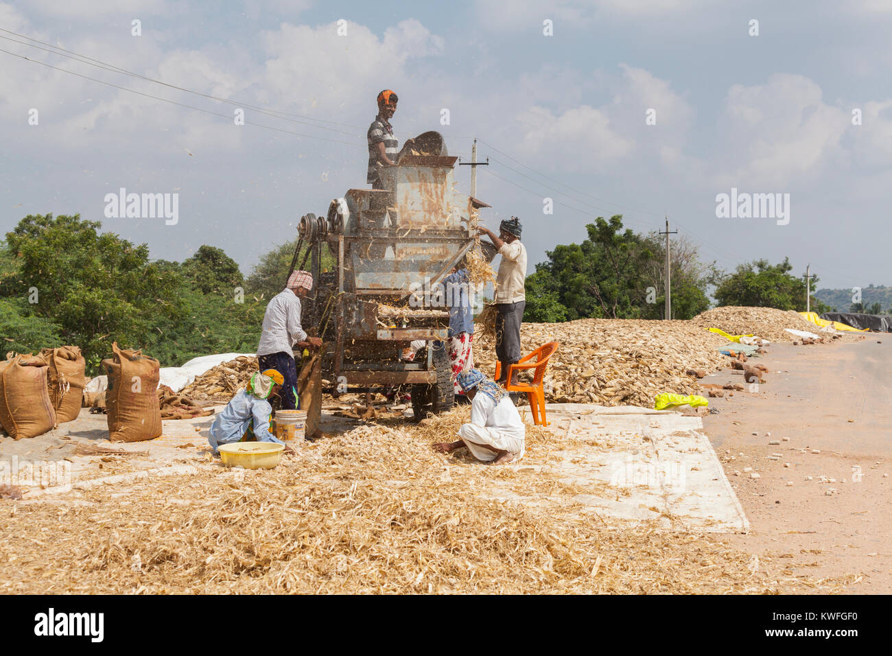 India, Karnataka, Aihole, Indian Farmers threshing corn cob Stock Photo ...