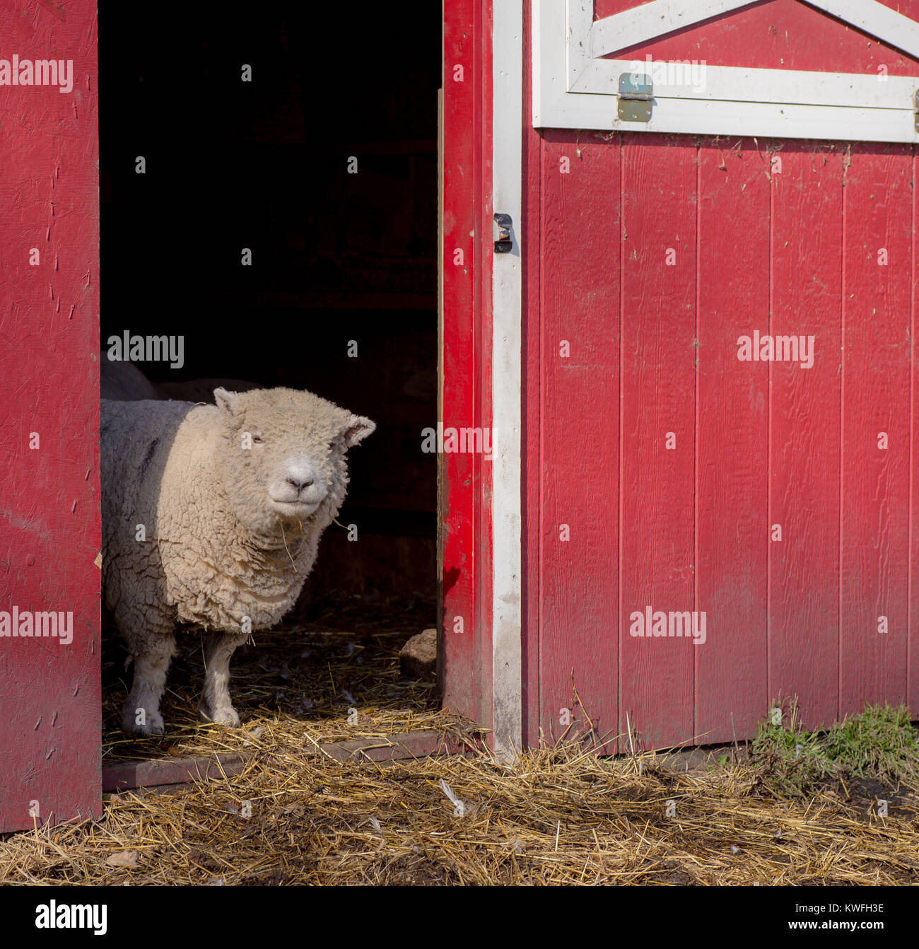 Zoo manure hi-res stock photography and images - Alamy