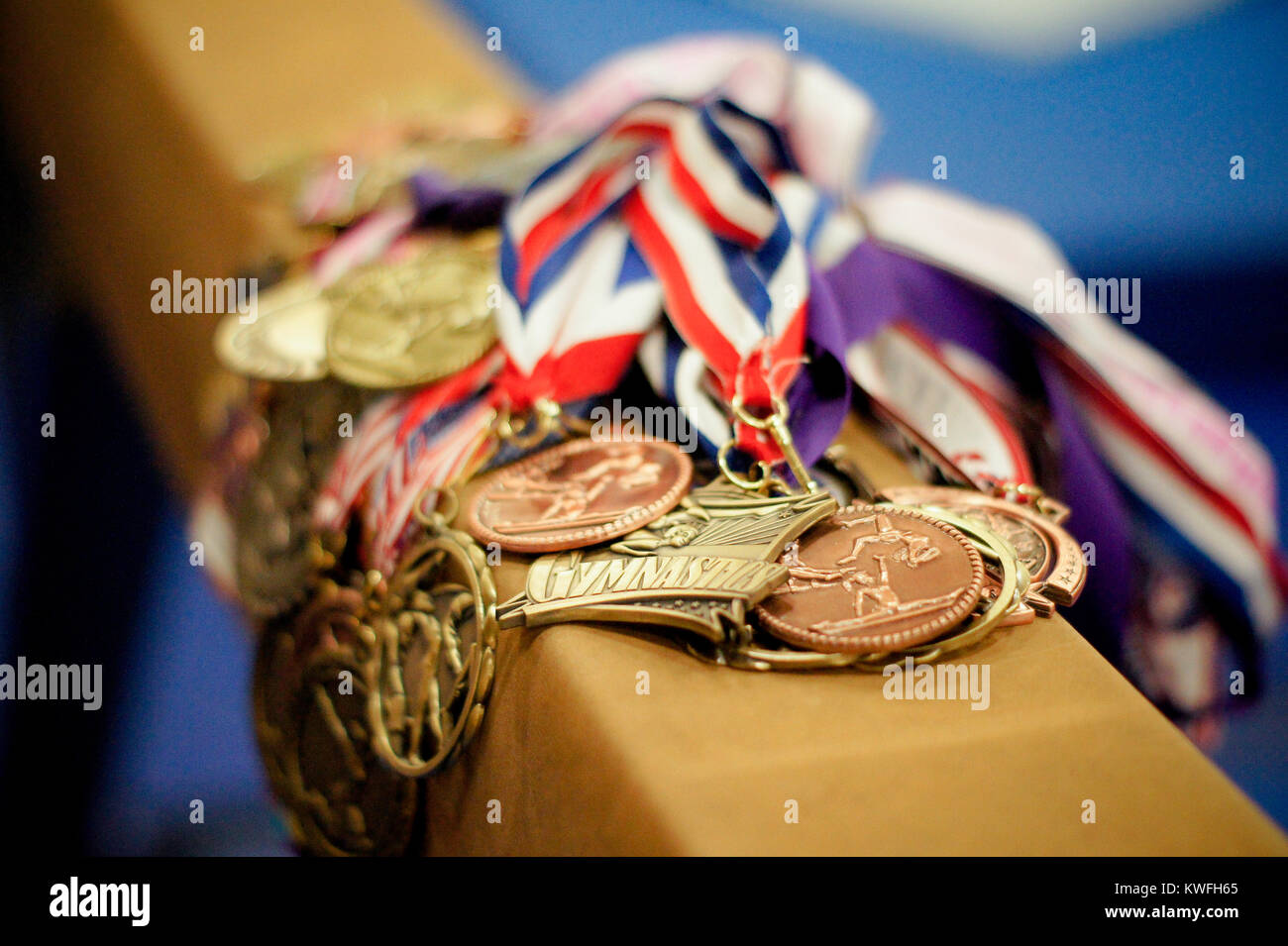 First prize blue ribbon hi-res stock photography and images - Alamy