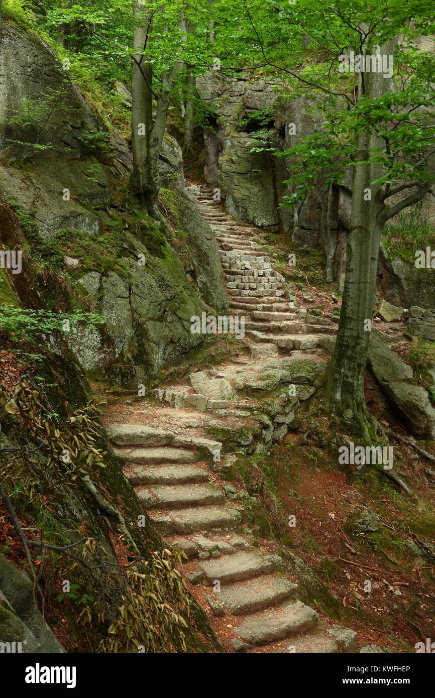 Stairs between rocks Stock Photo - Alamy