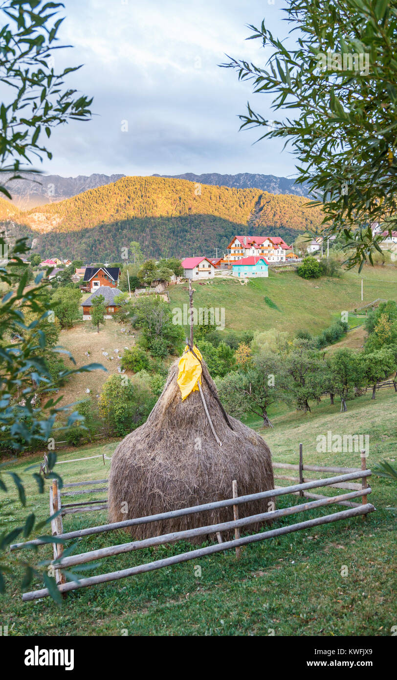 Hay stooks hi-res stock photography and images - Alamy