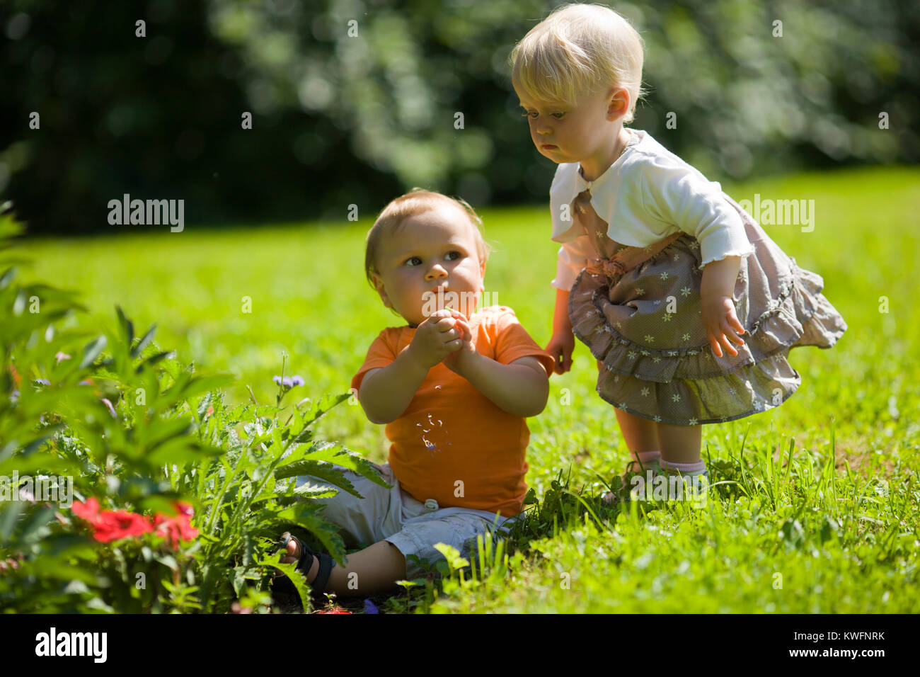 Two playing together kids outdoors in summer park Stock Photo - Alamy