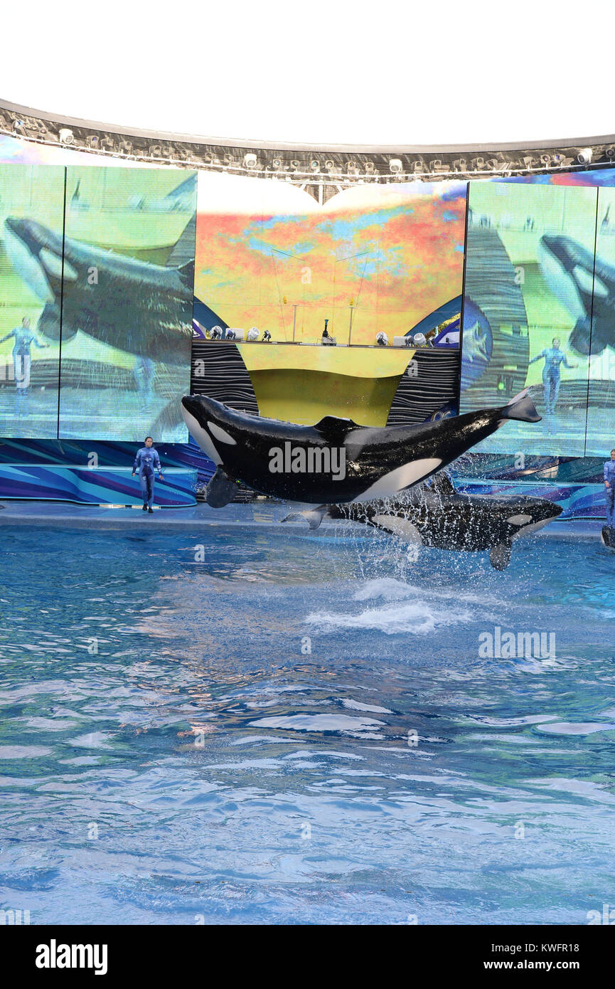 ORLANDO, FL - AUGUST 15: SeaWorld has announced a new 10 million-gallon ...