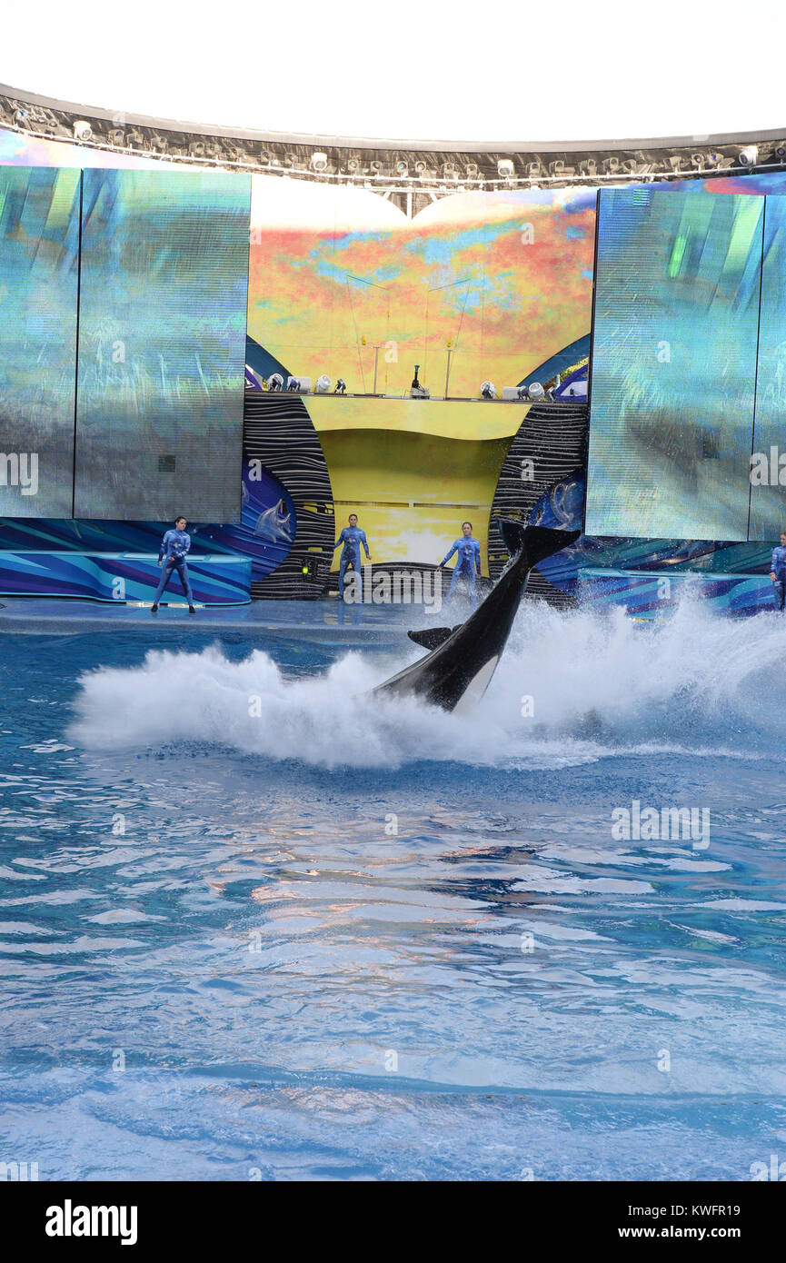 ORLANDO, FL - AUGUST 15: SeaWorld has announced a new 10 million-gallon ...
