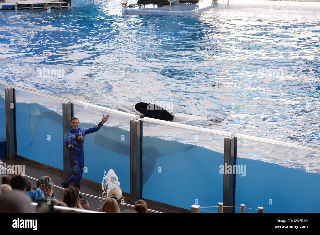 ORLANDO, FL - AUGUST 15: SeaWorld has announced a new 10 million-gallon ...