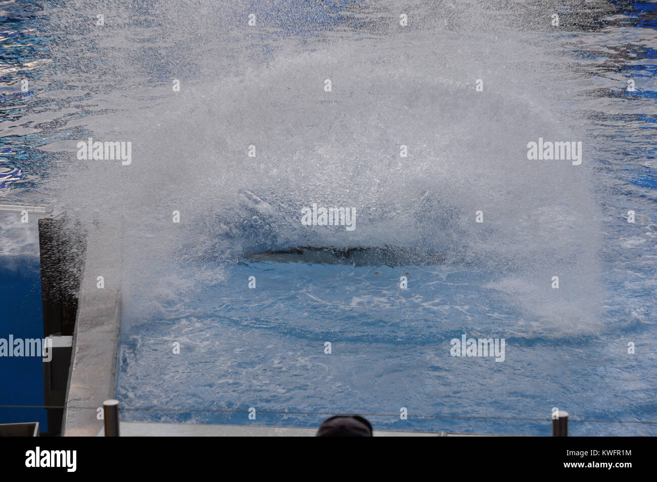 ORLANDO, FL - AUGUST 15: SeaWorld has announced a new 10 million-gallon ...