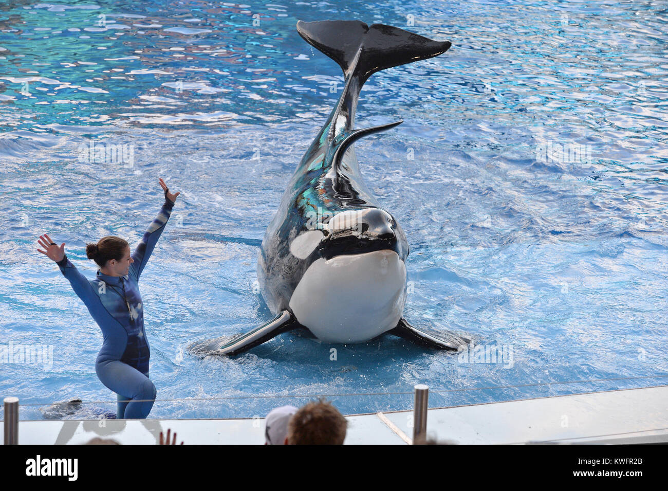 ORLANDO, FL - AUGUST 15: SeaWorld has announced a new 10 million-gallon ...