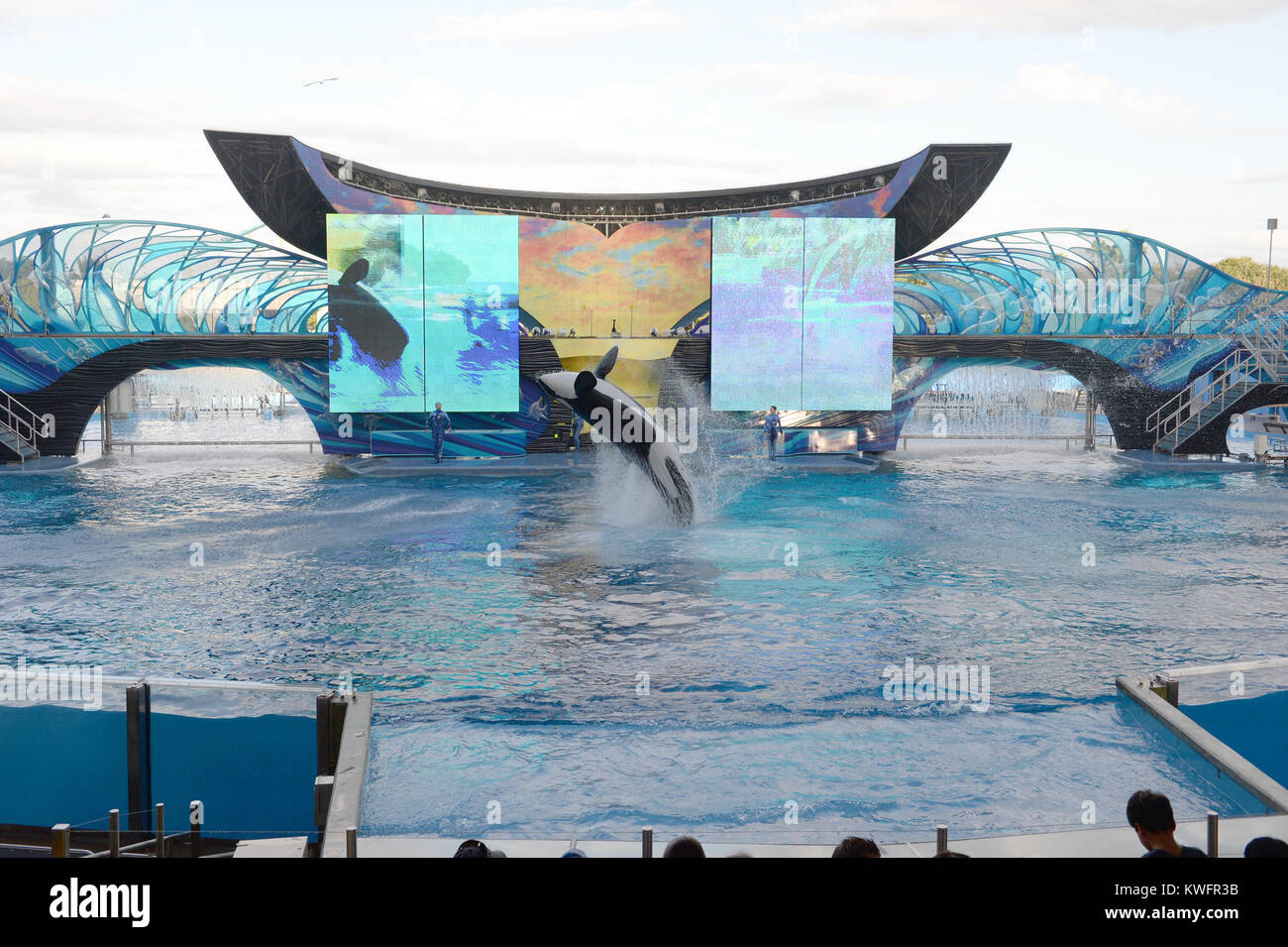 ORLANDO, FL - AUGUST 15: SeaWorld has announced a new 10 million-gallon ...