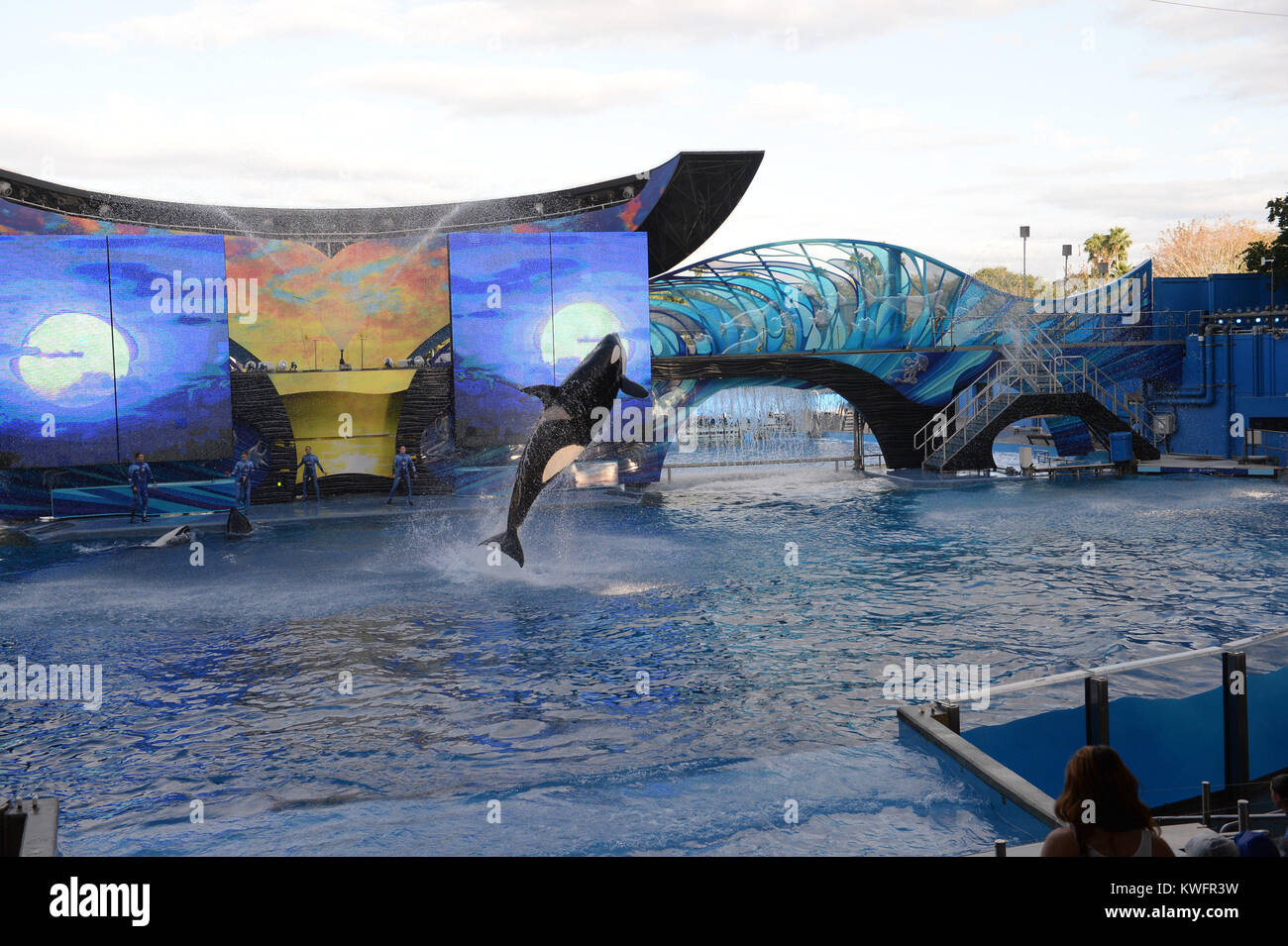 ORLANDO, FL - AUGUST 15: SeaWorld has announced a new 10 million-gallon ...