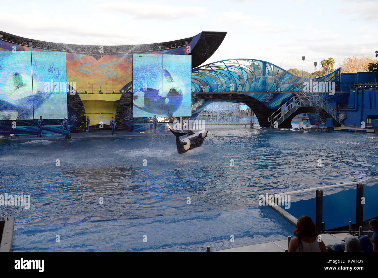 ORLANDO, FL - AUGUST 15: SeaWorld has announced a new 10 million-gallon ...