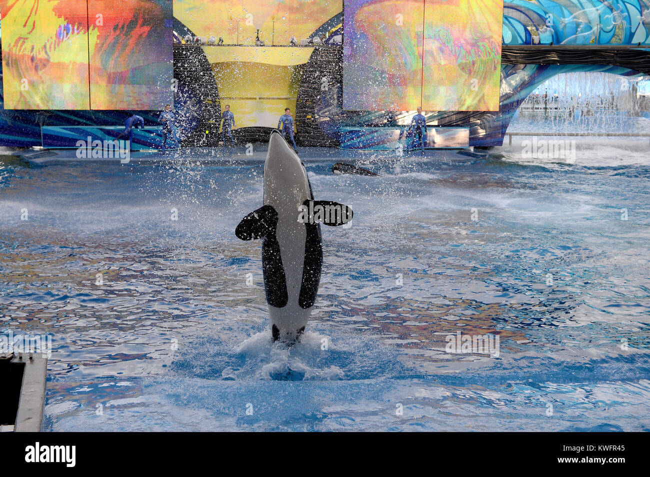 ORLANDO, FL - AUGUST 15: SeaWorld has announced a new 10 million-gallon ...