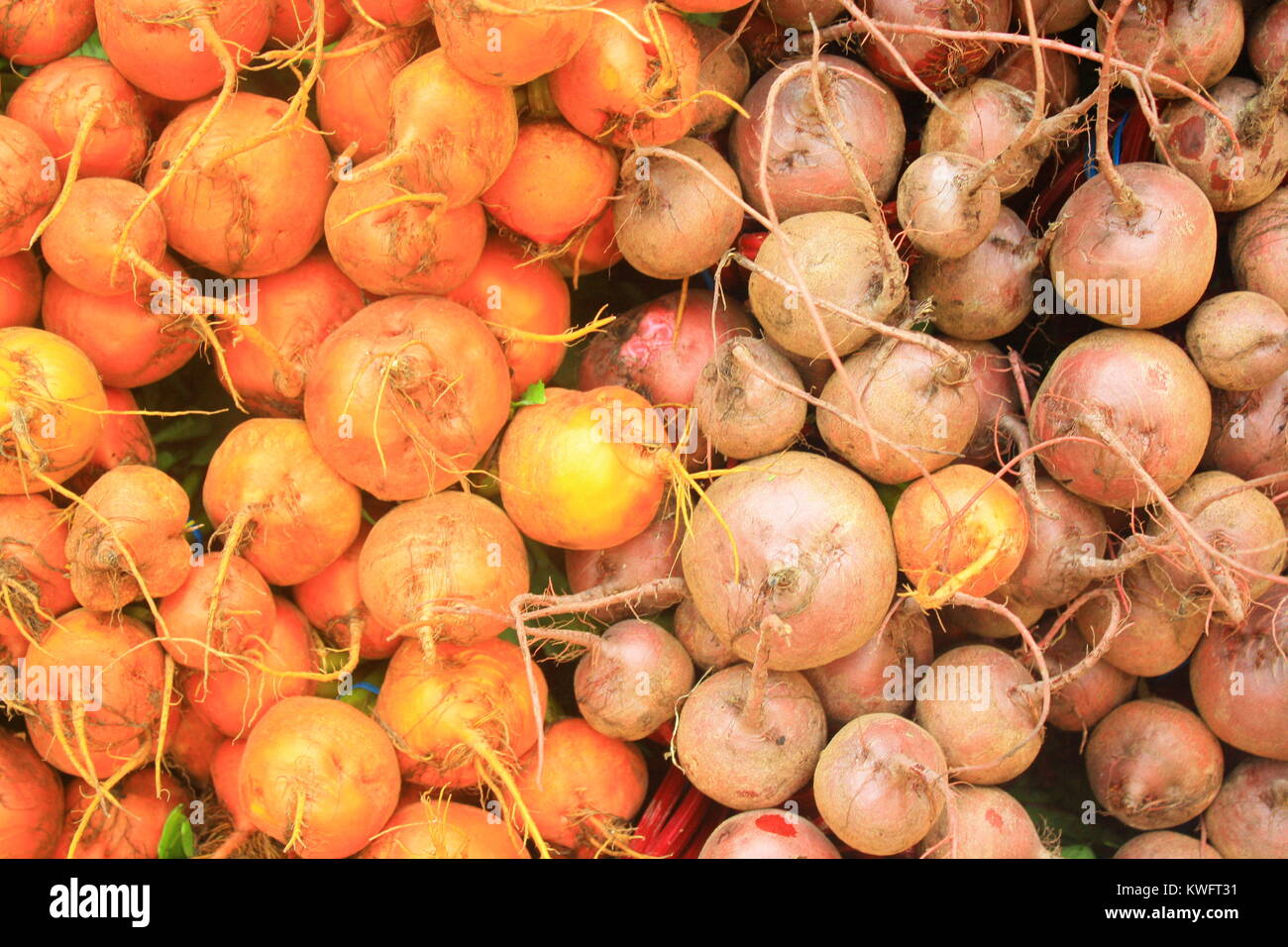 Farm stand farmer hi-res stock photography and images - Alamy