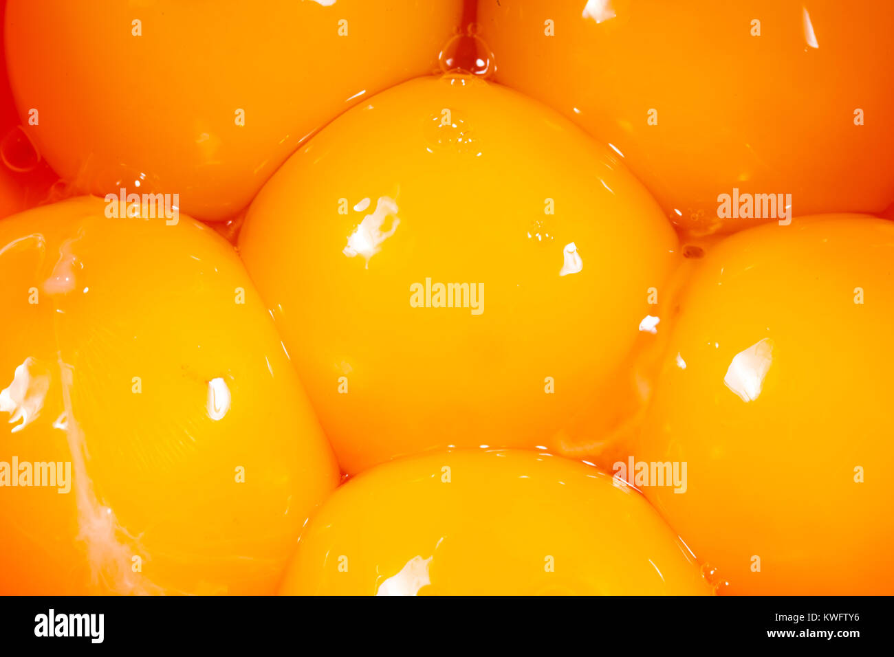 Close-up of raw egg yolks Stock Photo - Alamy
