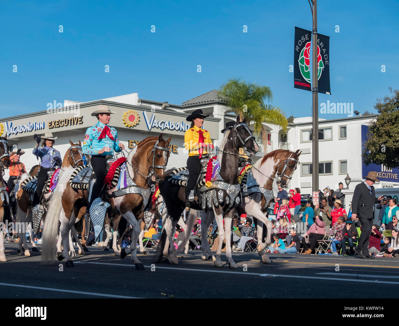 Pasadena, JAN 1: Superb horse with cowboy in the famous Rose Parade ...