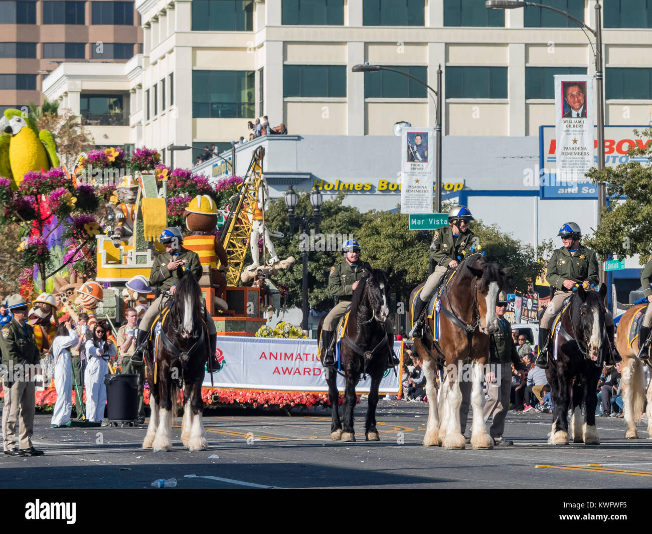 Pasadena, JAN 1: Superb horse with cowboy in the famous Rose Parade ...