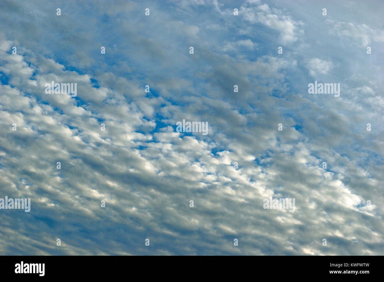 It's going to be rain soon cloudscape Stock Photo - Alamy