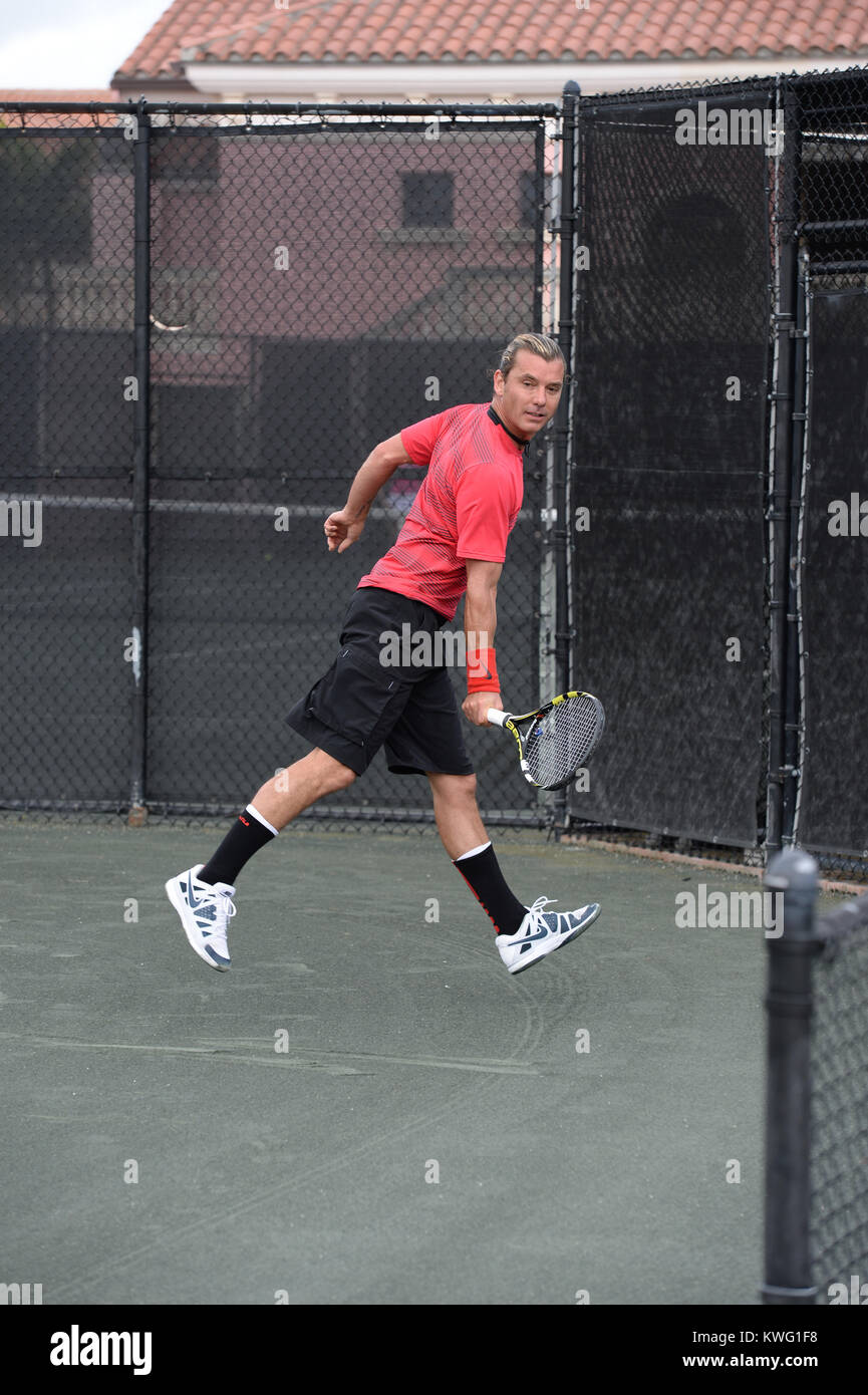 BOCA RATON, FL - NOVEMBER 15: Gavin Rossdale participates in 2013 Chris ...